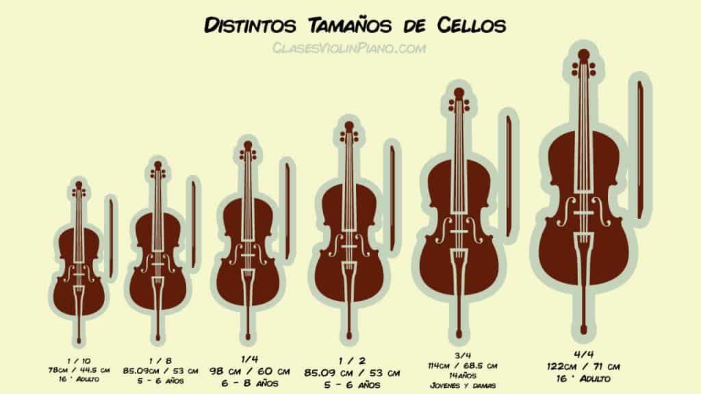 Tamaños de Cellos Con Medidas Exactas