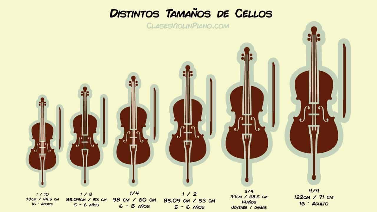 Tamaños de Cellos Con Medidas Exactas